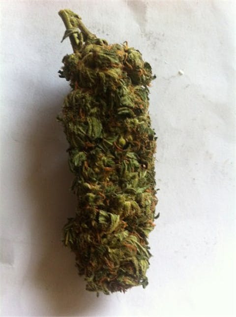 Tidal Wave aka Thaidal Wave Weed Strain Information | Leafly