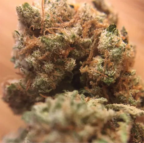The White aka White Weed Strain Information | Leafly