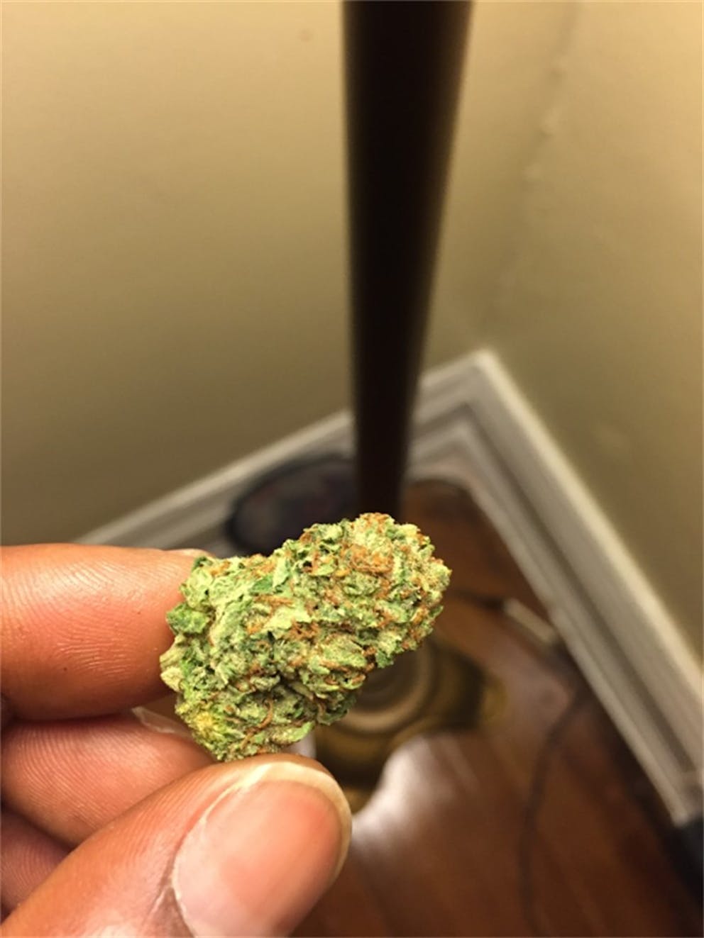 Photos of Triangle Kush Weed Strain Buds | Leafly