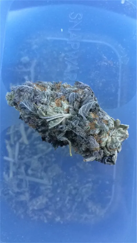 Trifecta Weed Strain Information | Leafly