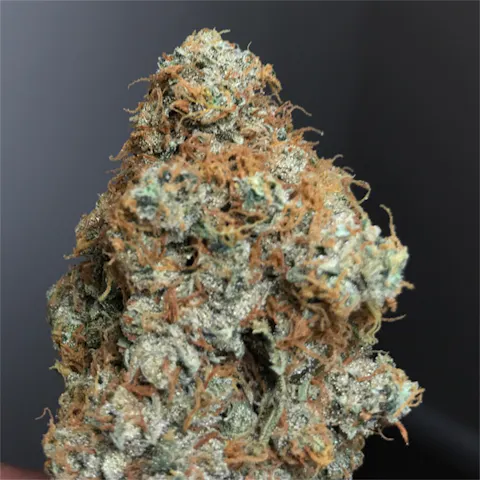 Triple Cheese Weed Strain Information | Leafly