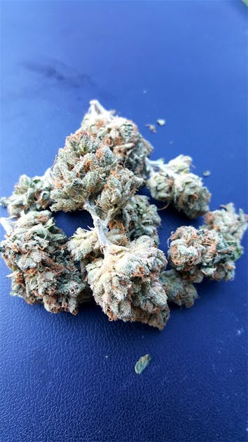 Photos of True OG Weed Strain Buds | Leafly