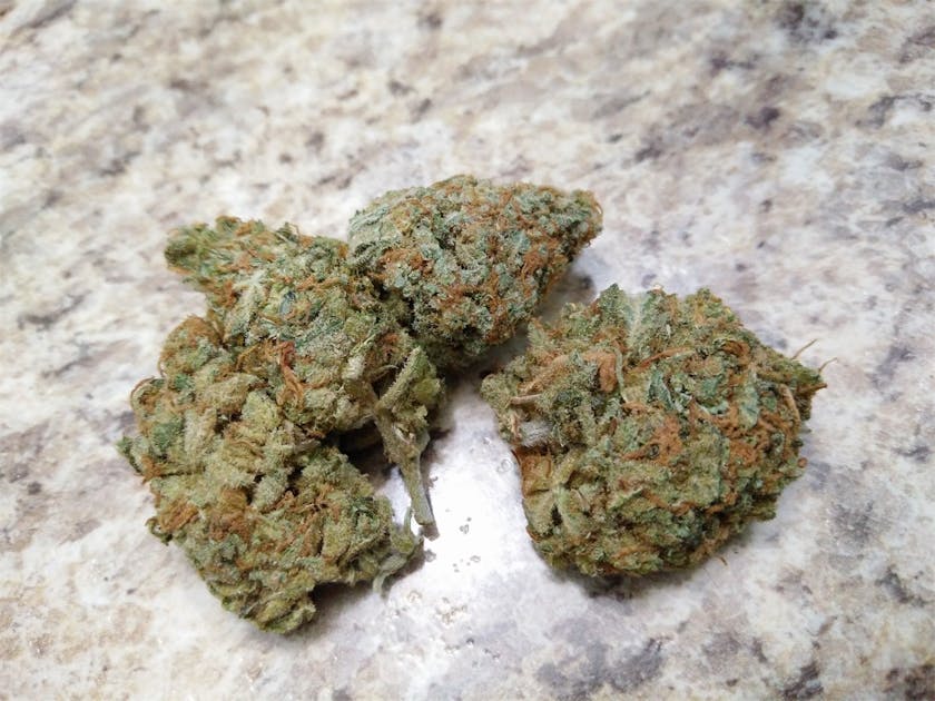 Photos of Twisted Citrus Weed Strain Buds | Leafly