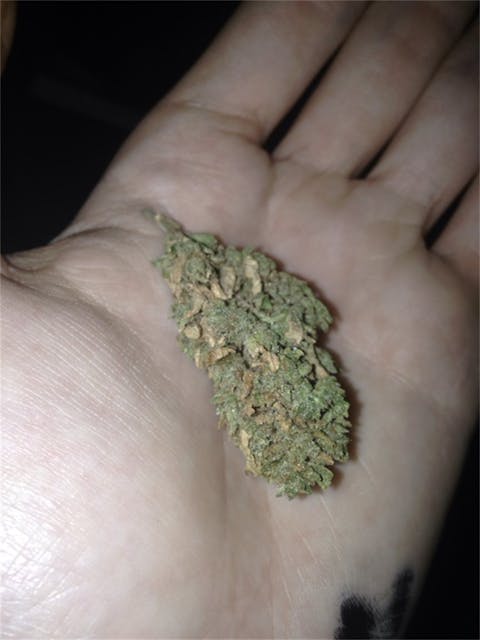 Tyson aka Mike Tyson, Mike Tyson OG, Mike Weed Strain Information | Leafly