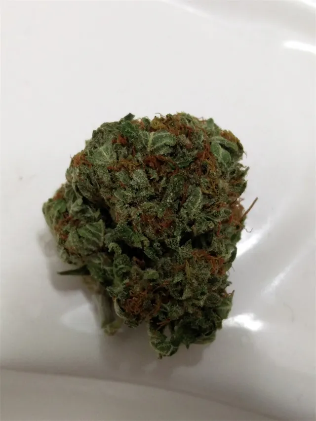 Photos of Velvet Bud Weed Strain Buds | Leafly