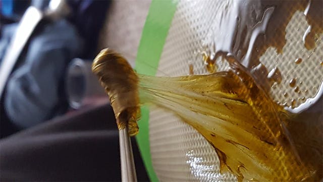 Photos of Vortex Weed Strain Buds | Leafly