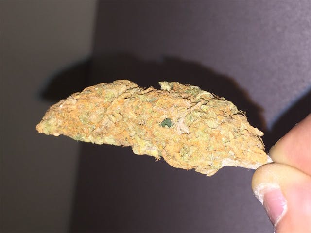 Photos of Vortex Weed Strain Buds | Leafly