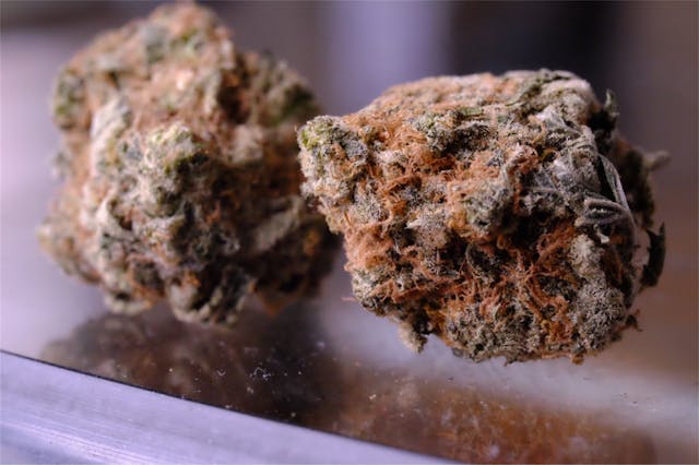 Photos of Vortex Weed Strain Buds | Leafly