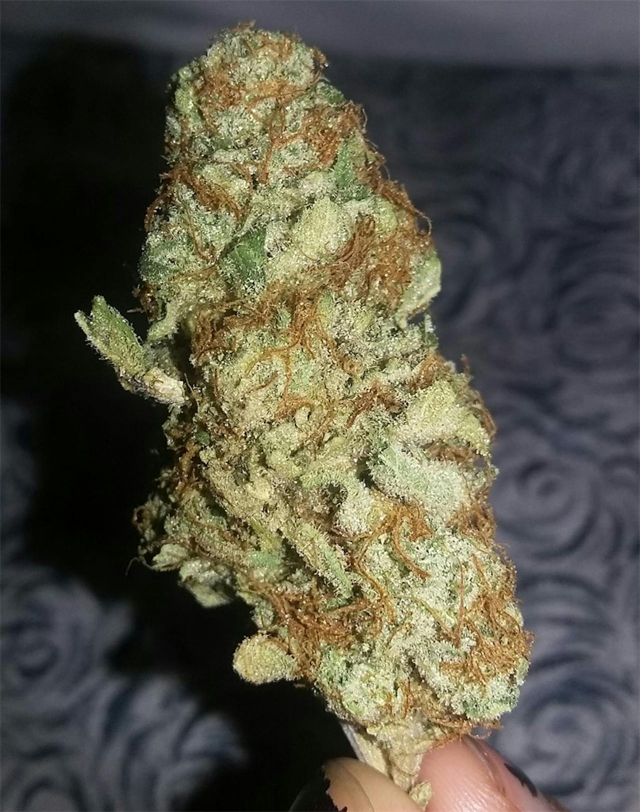 Photos of Vortex Weed Strain Buds | Leafly