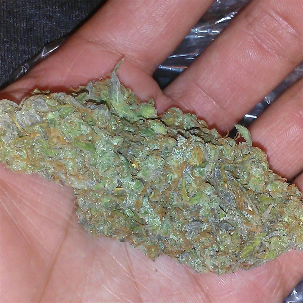 Photos of Vortex Weed Strain Buds | Leafly