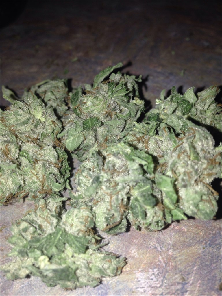 Photos of Vortex Weed Strain Buds | Leafly