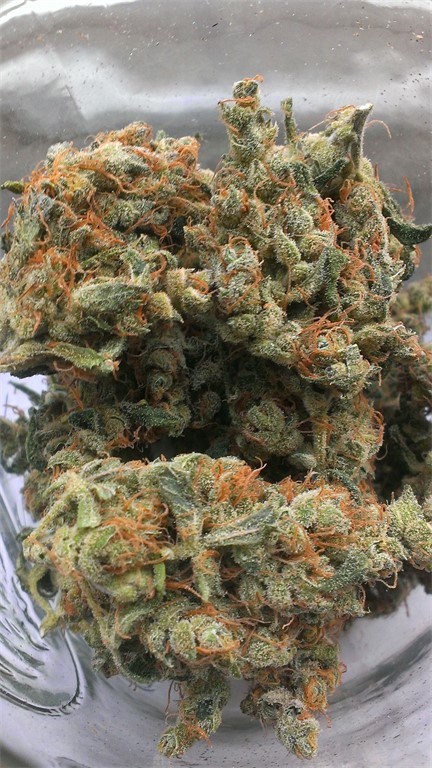 Photos of Vortex Weed Strain Buds | Leafly