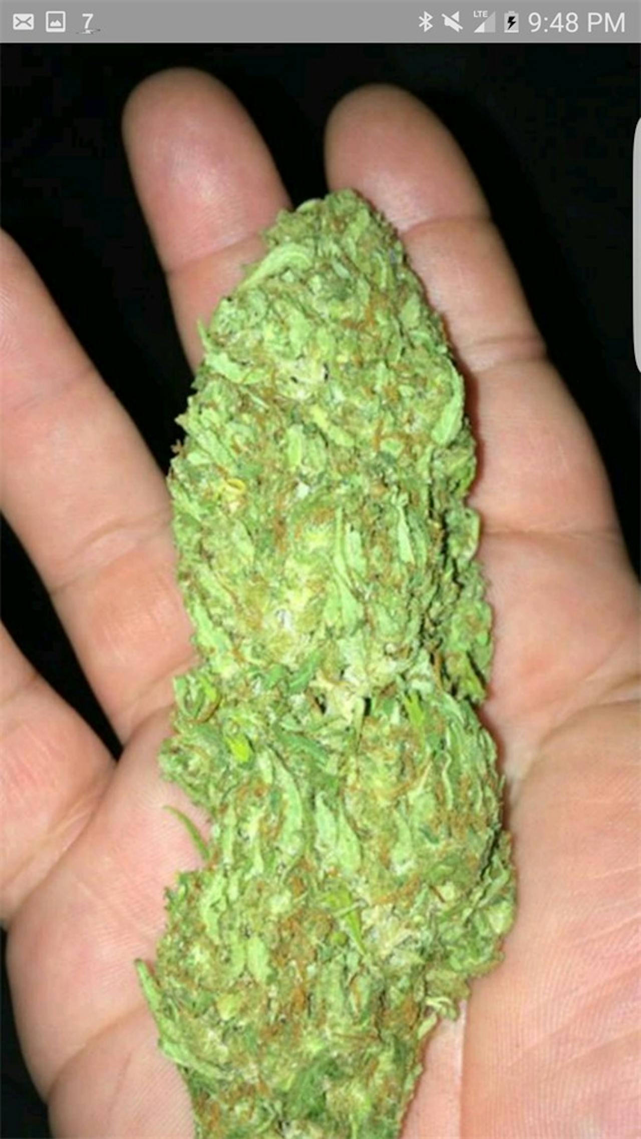 Photos of Vortex Weed Strain Buds | Leafly