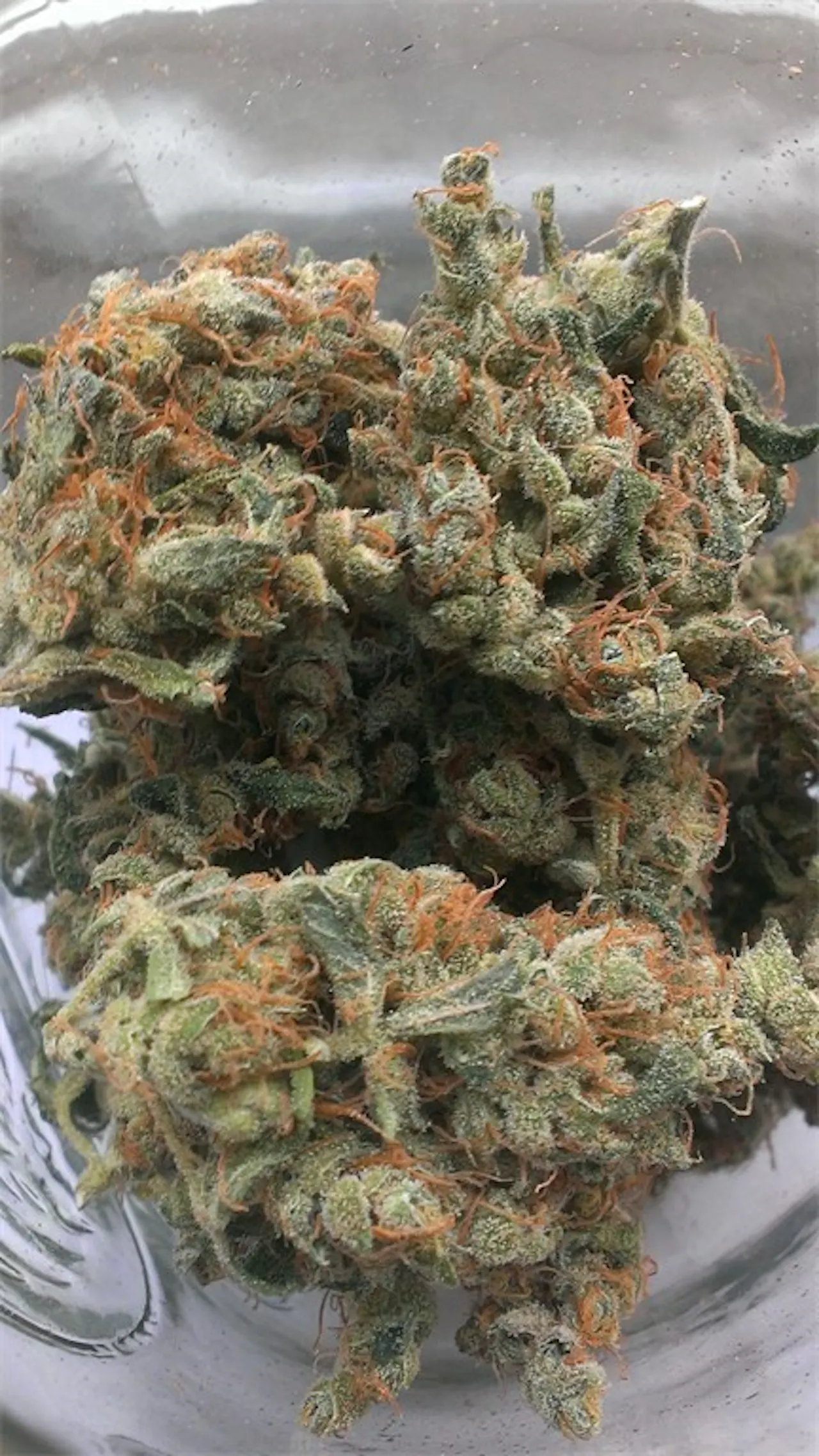 Photos of Vortex Weed Strain Buds | Leafly