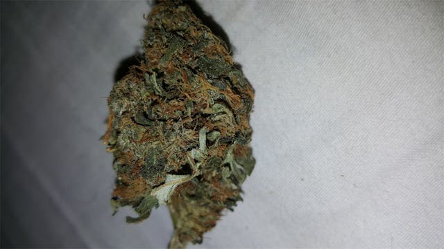 Photos of Vortex Weed Strain Buds | Leafly