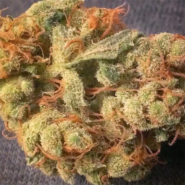 Photos of Vortex Weed Strain Buds | Leafly