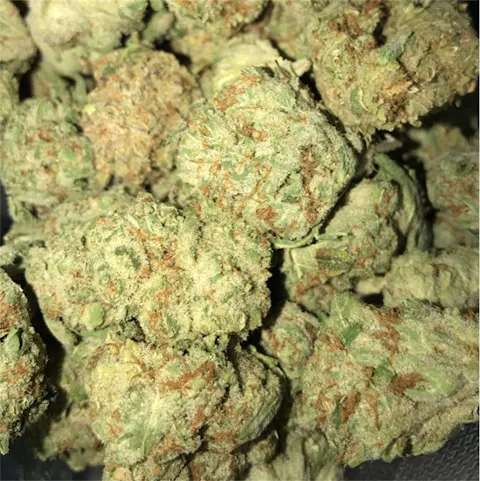 White 99 Weed Strain Information | Leafly