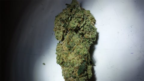 White Fire Alien OG Weed Strain Information | Leafly