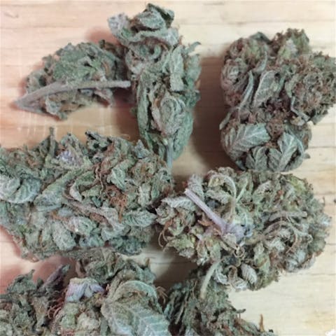 White Gold aka Oro Blanco Weed Strain Information | Leafly