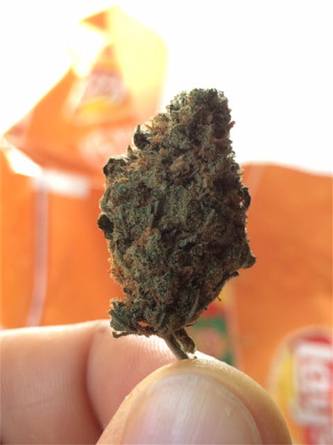 White Nightmare Weed Strain Information | Leafly