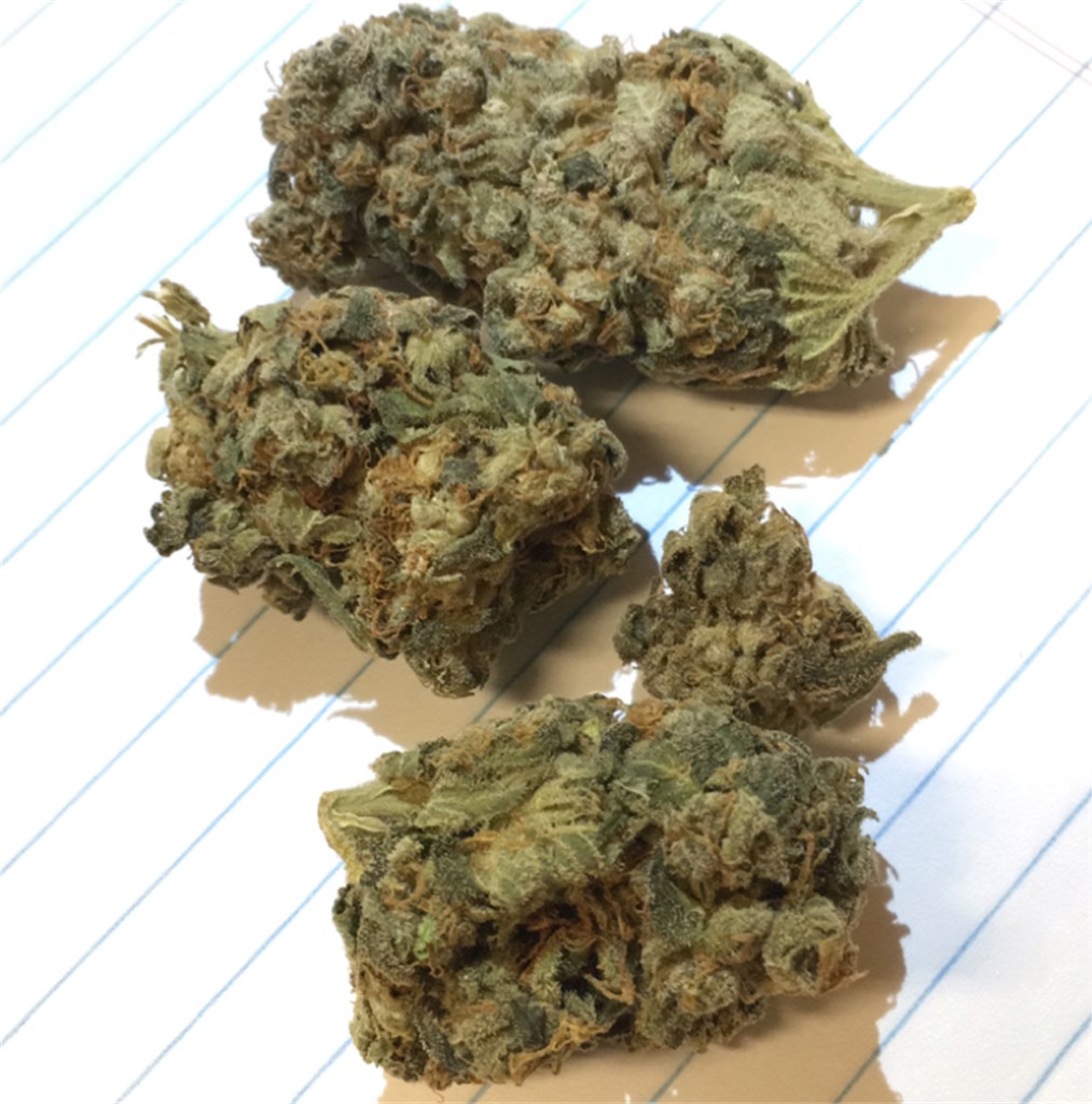 White Queen Strain Candy Kush Express (Fast Flowering) 24High