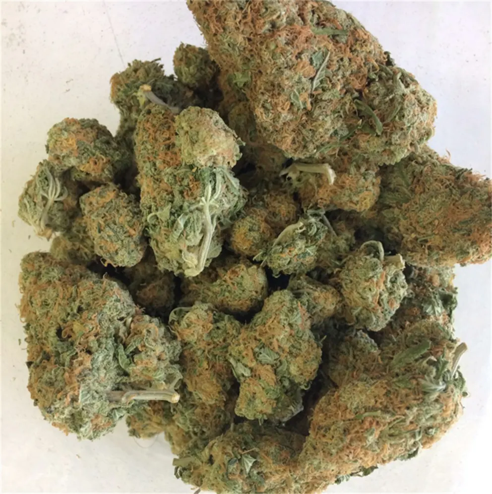 Photos of White Rhino Weed Strain Buds | Leafly