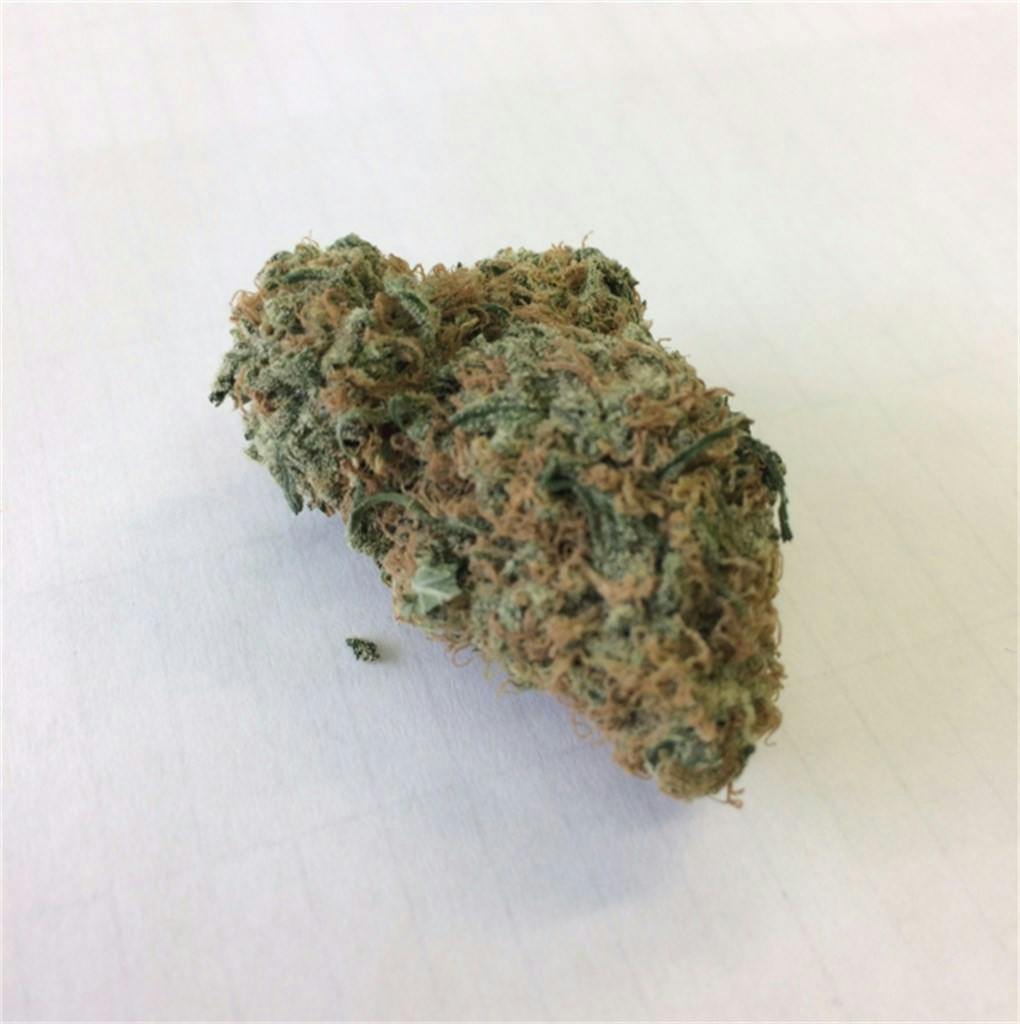 Photos of White Rhino Weed Strain Buds | Leafly