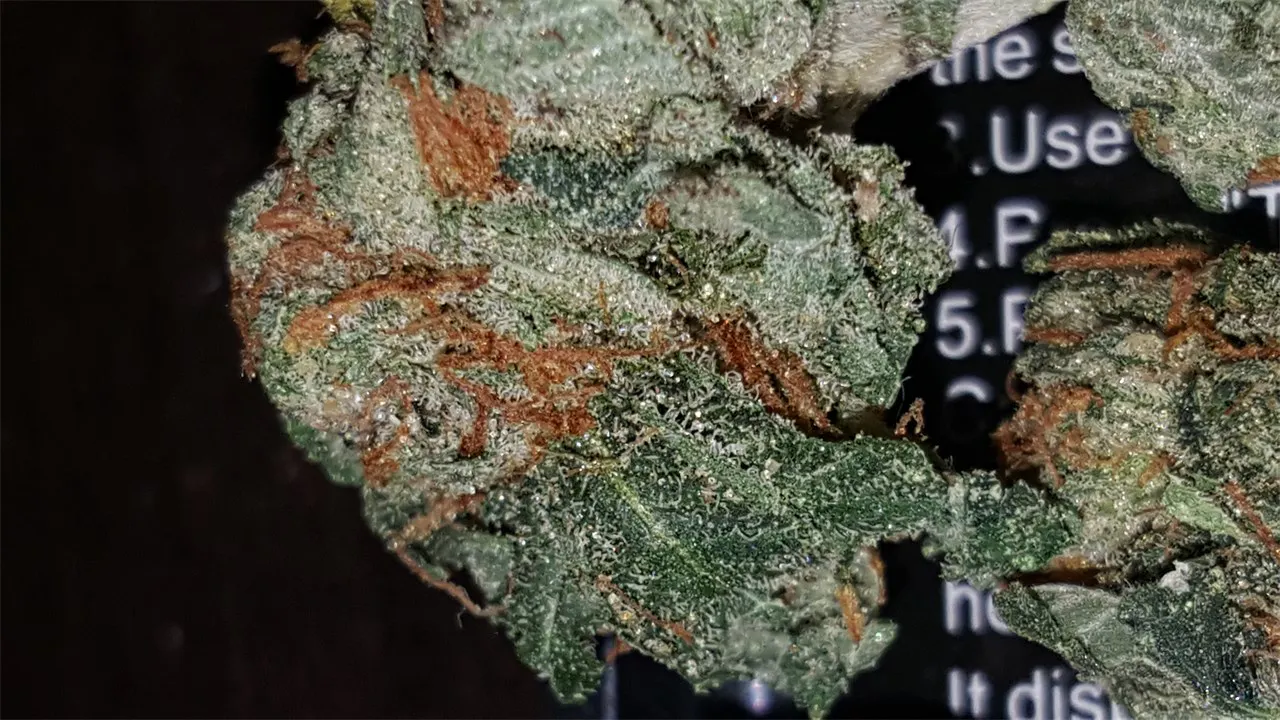 Photos Of White Widow Weed Strain Buds Leafly