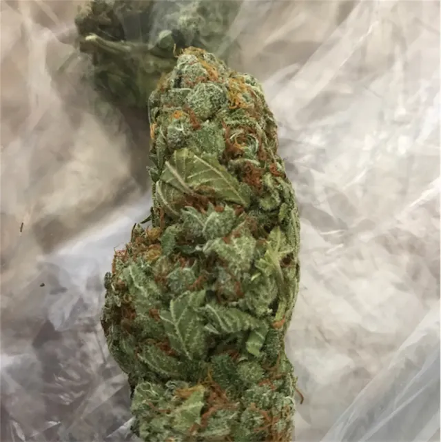 Photos of White Widow Weed Strain Buds | Leafly