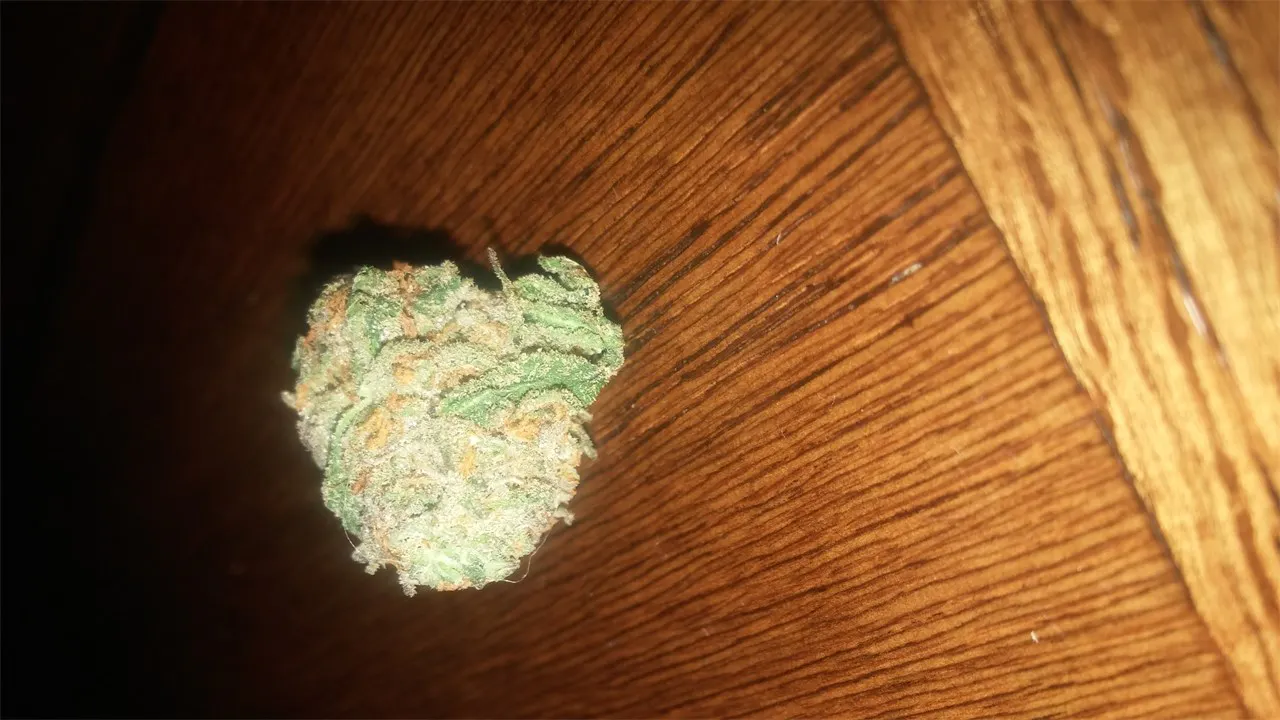 Photos of White Widow Weed Strain Buds | Leafly