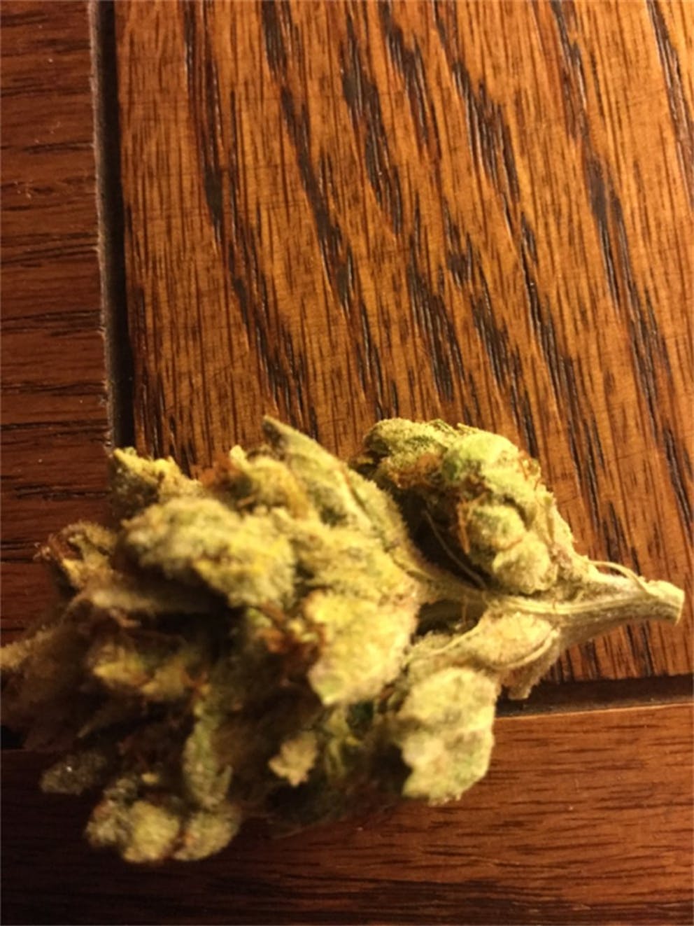 Photos of Yoda OG Weed Strain Buds | Leafly