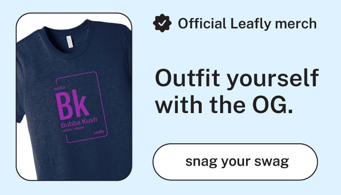 Bubba Kush aka BK, Bubba, Bubba OG Kush Weed Strain Information | Leafly