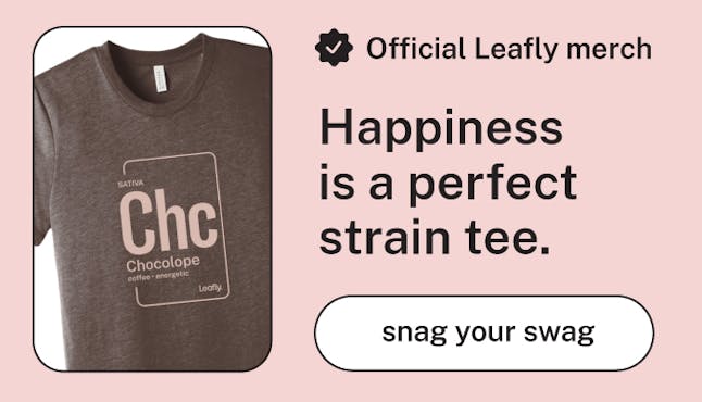 Chocolope aka D-Line Weed Strain Information | Leafly