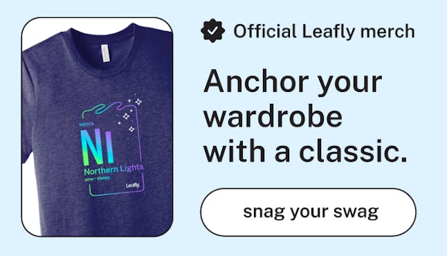 Northern Lights aka NL Weed Strain Information | Leafly